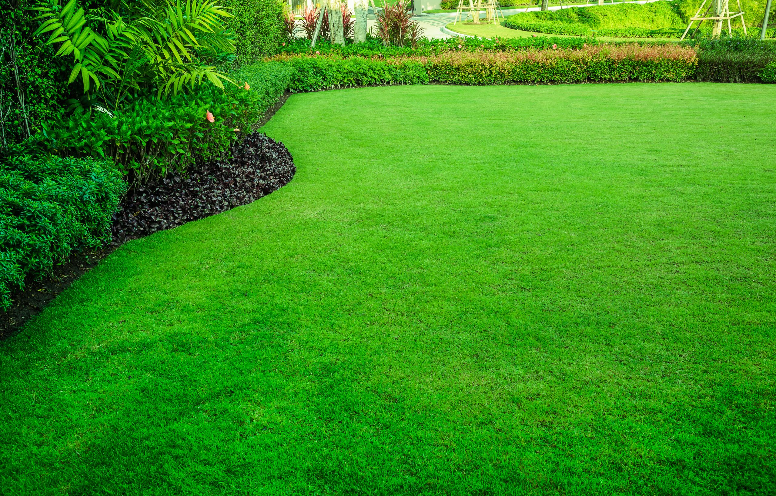 Green space maintenance: all you need to know to maintain your company ...