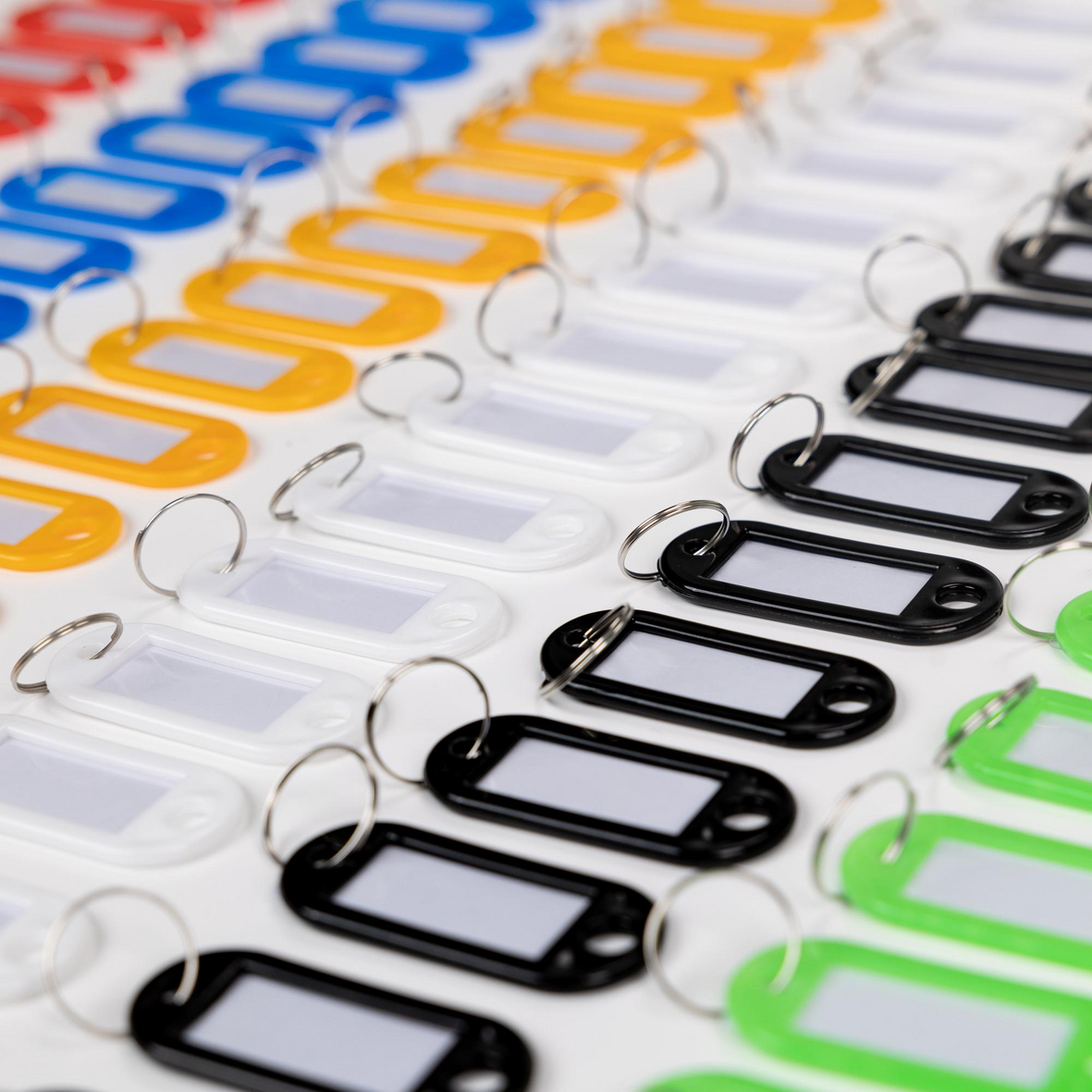 Plastic Key Fobs With Blank Labels - Assorted Colours - Manutan Expert ...
