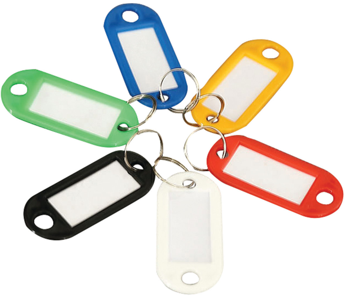 Plastic Key Fobs With Blank Labels - Assorted Colours - Manutan Expert ...