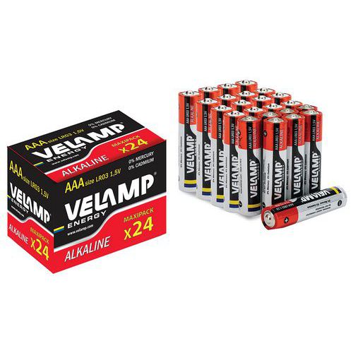 Pack of 24 alkaline batteries - VELAMP - Manutan.co.uk