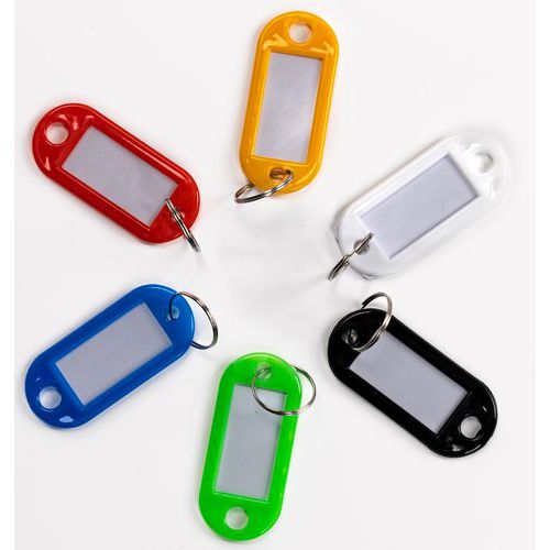 Plastic Key Fobs With Blank Labels - Assorted Colours - Manutan Expert ...