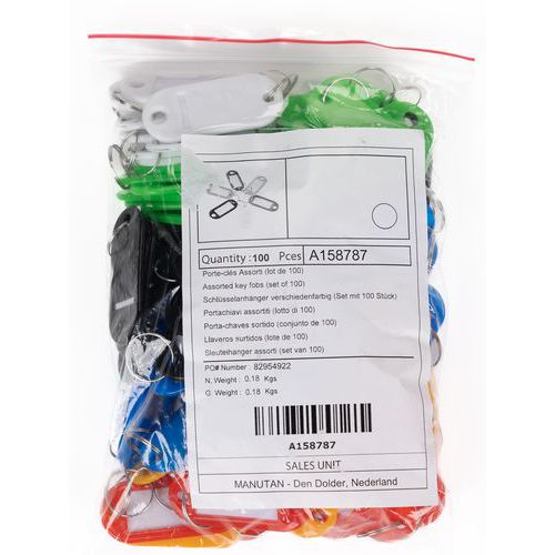 Plastic Key Fobs With Blank Labels - Assorted Colours - Manutan Expert ...