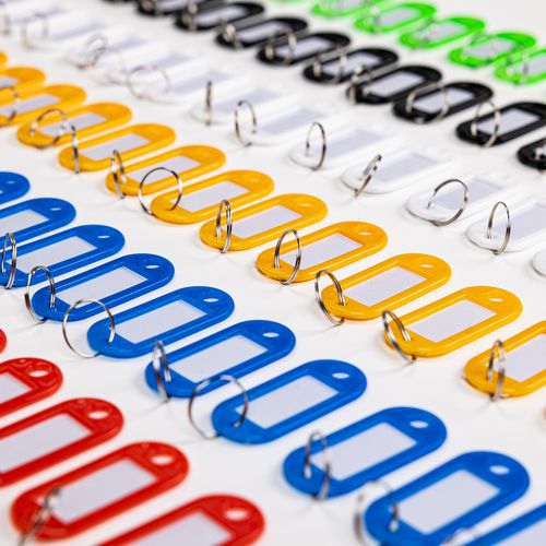 Plastic Key Fobs With Blank Labels - Assorted Colours - Manutan Expert ...
