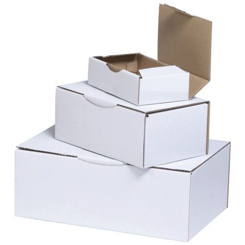 Multi-purpose Kraft cardboard shipping box | White | Manutan UK