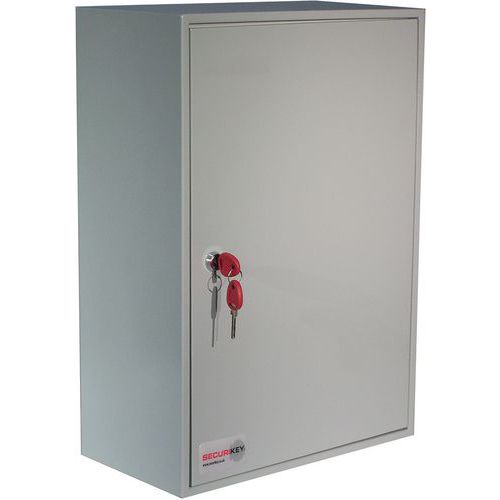 Standard Key Cabinet with Key Lock | Safety Cabinet | Manutan UK